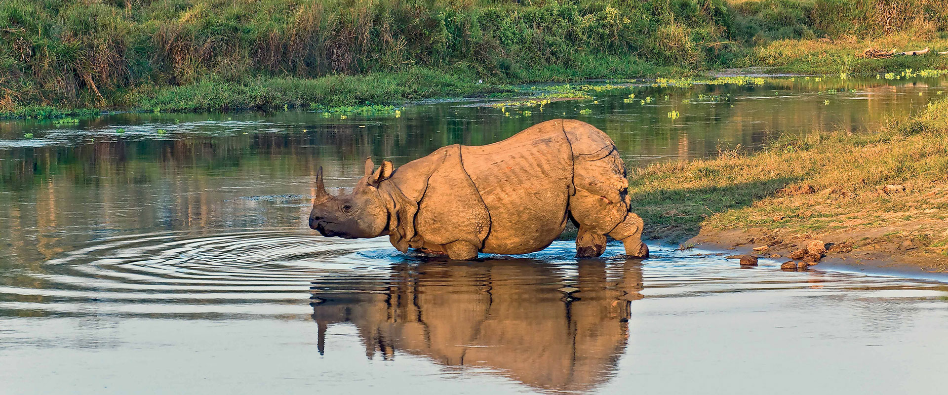 MICE in Nepal: Premier Events & Travel by MICEscape Nepal :: Micescape ...